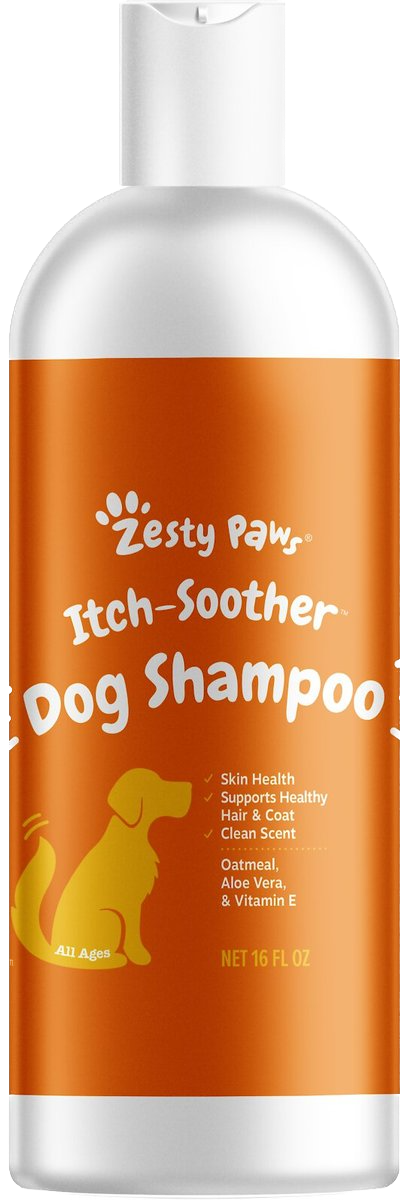 5 Best Dog Shampoos - All About Mutts